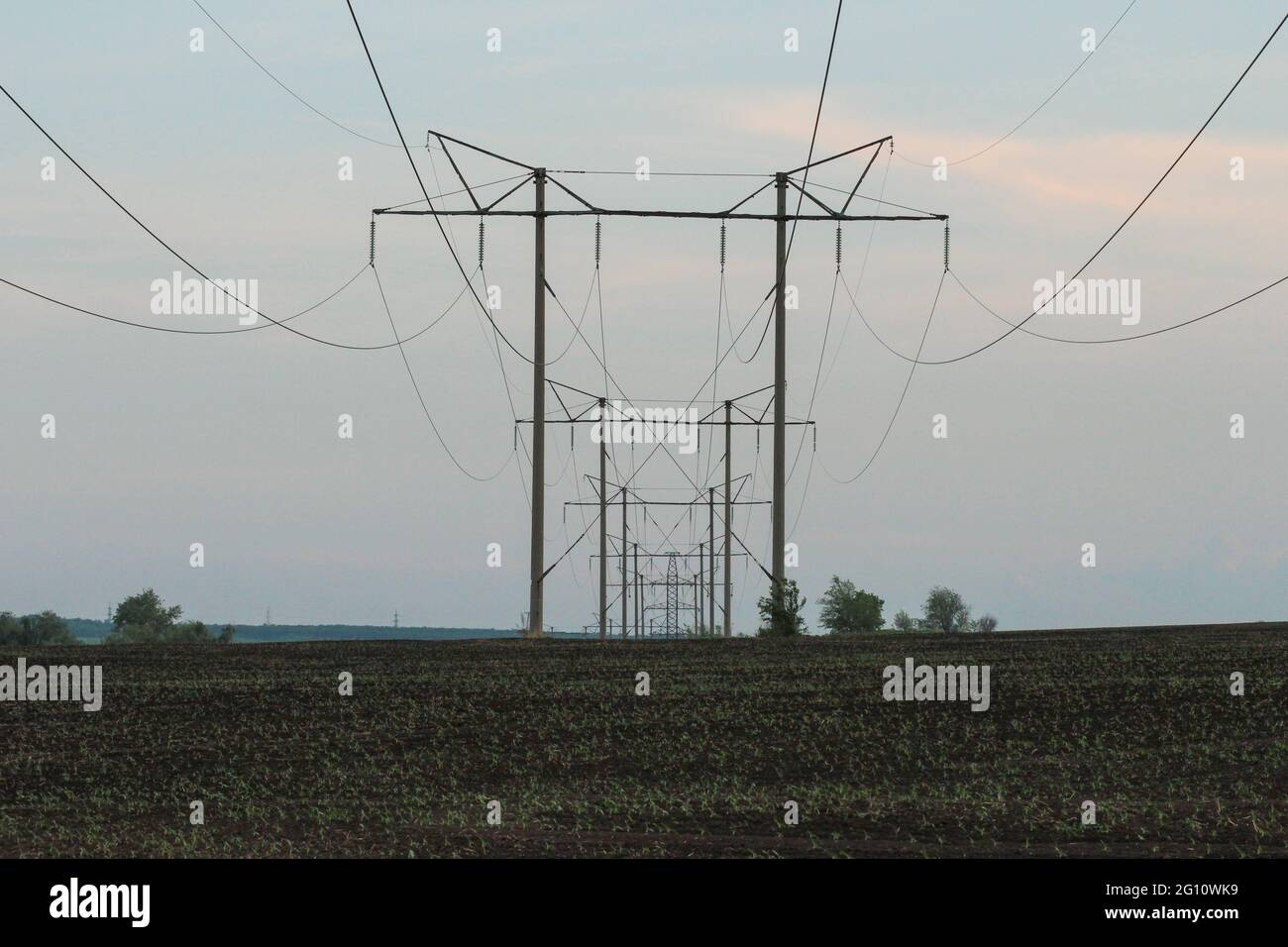 Power line poles lined up in a row on a farm field Stock Photo - Alamy