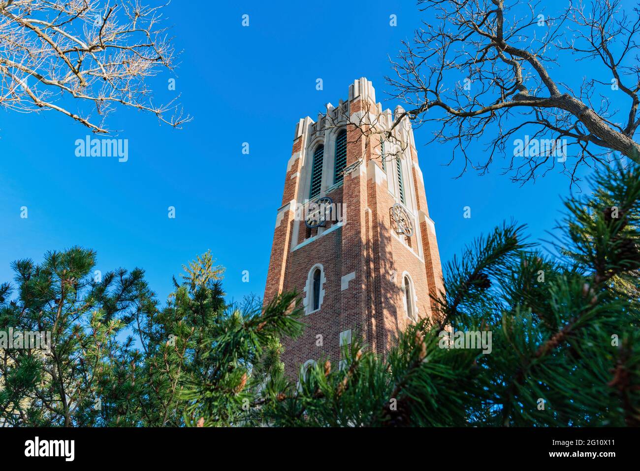 Landmark Beaumont Tower carillon on the campus of Michigan State ...