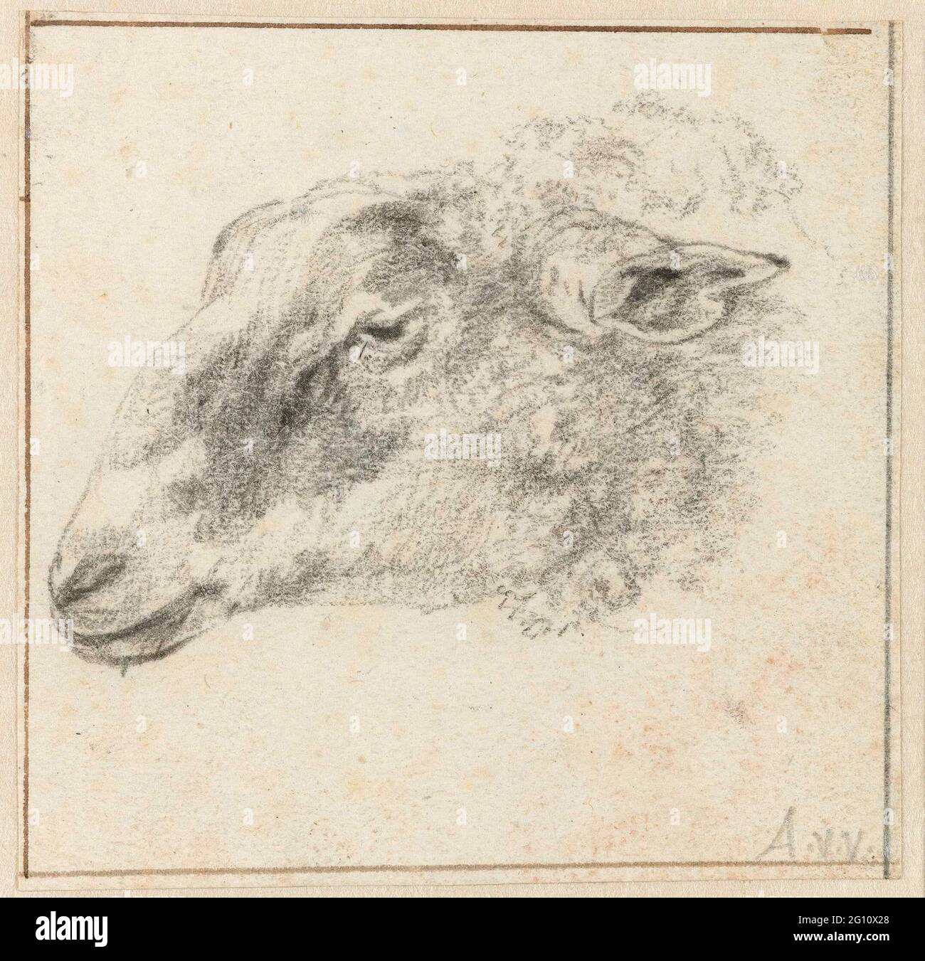 Sheep cup, from the side Stock Photo - Alamy