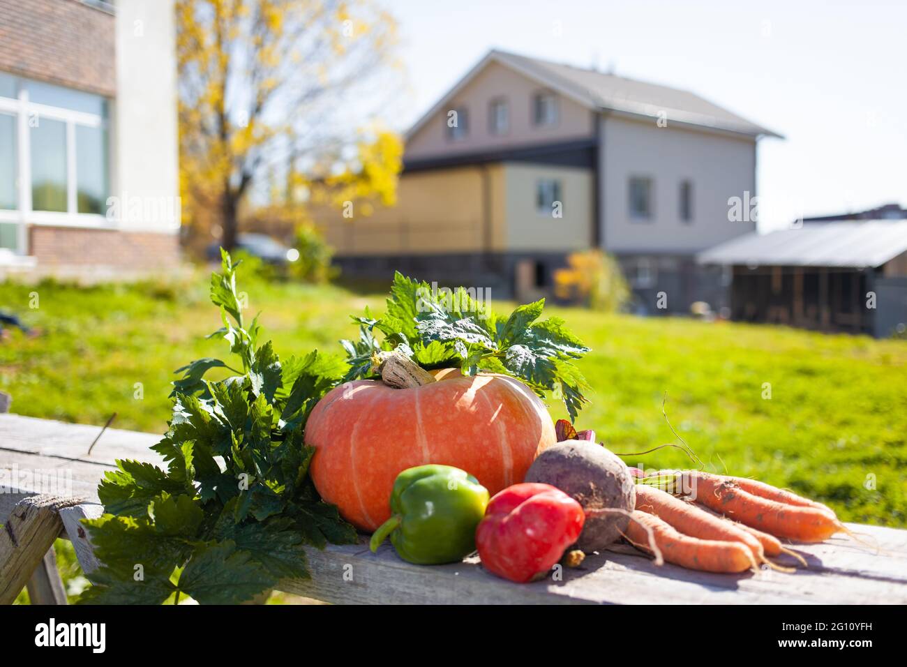 Bench cultivation hi-res stock photography and images - Alamy