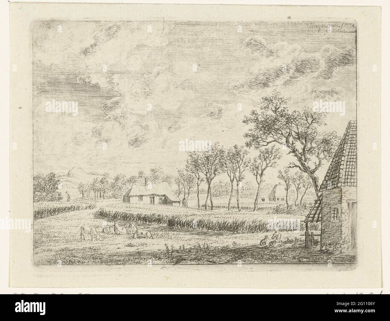 Landscape with cornfeld and pasture with sheep Stock Photo - Alamy