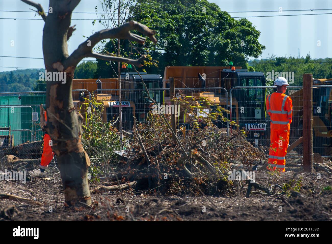 Aylesbury Vale, Buckinghamshire, UK. 1st June, 2021. Dead tree limbs ...