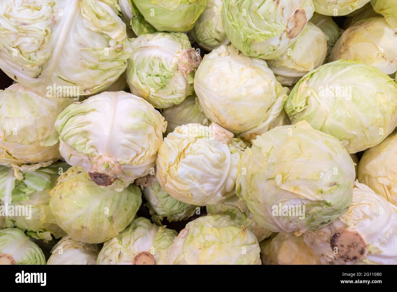 full frame close-up cabbage background and texture Stock Photo - Alamy