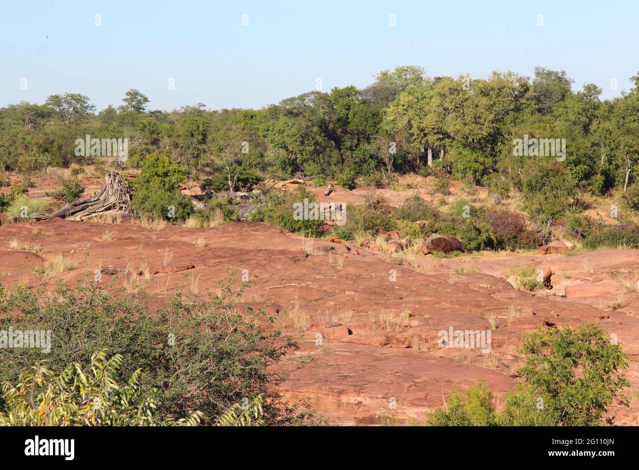 Afrikanischer Busch - Krügerpark - Red Rocks / African Bush - Kruger ...
