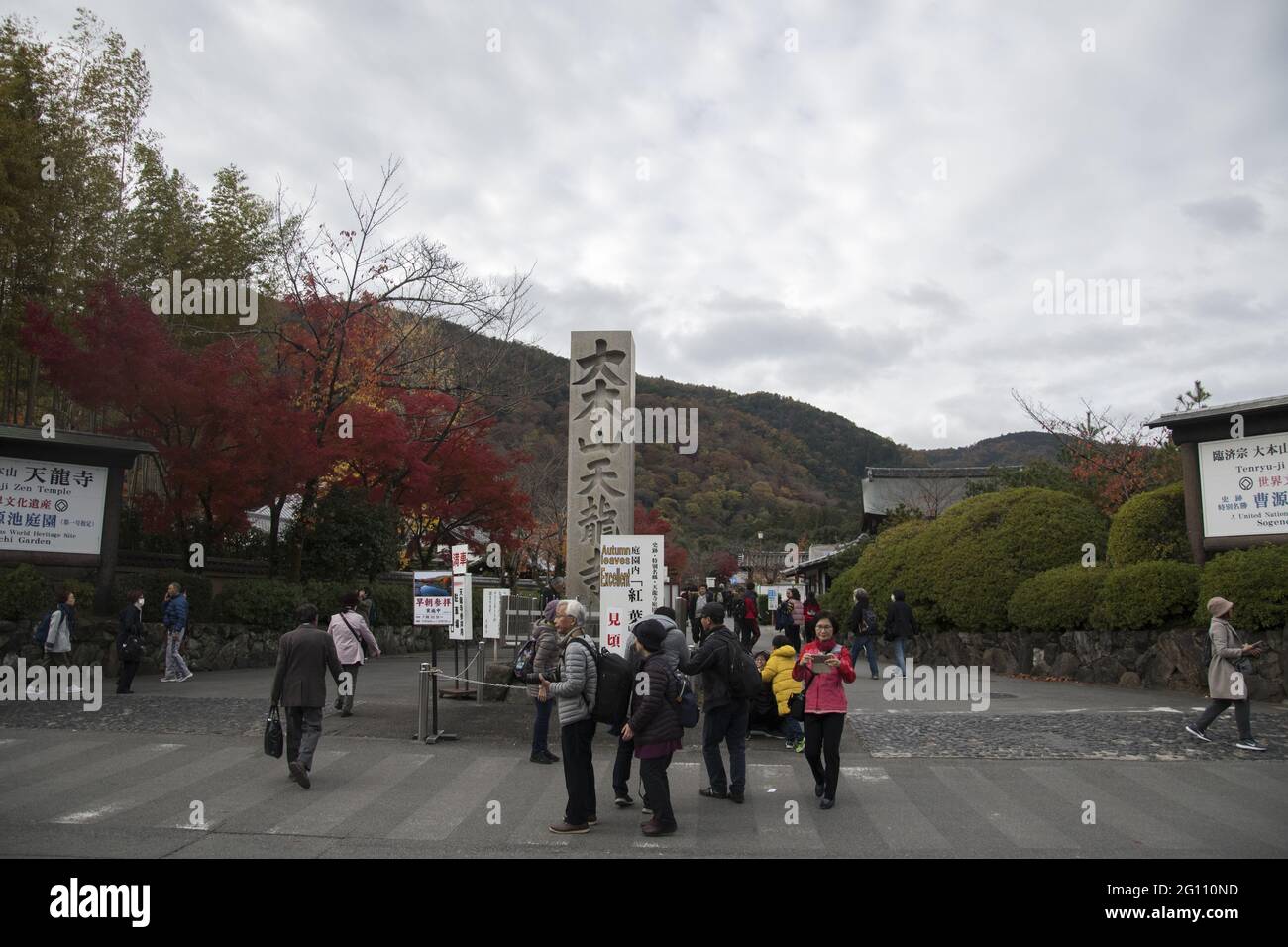Tenryuji temple garden autumn leaves kyoto japan hi-res stock ...