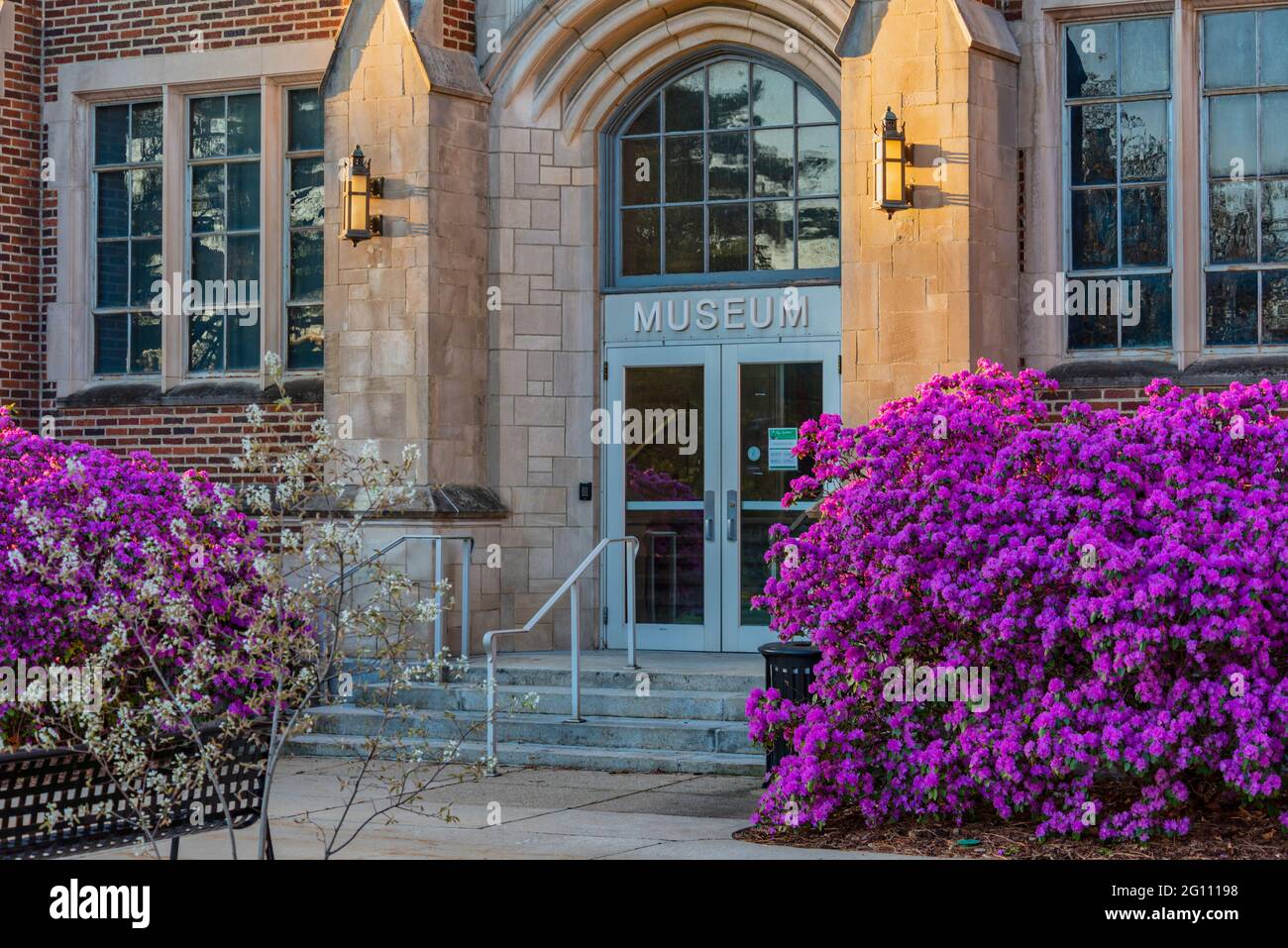 View of the Museum building entrance on the campus of MSU Stock Photo ...