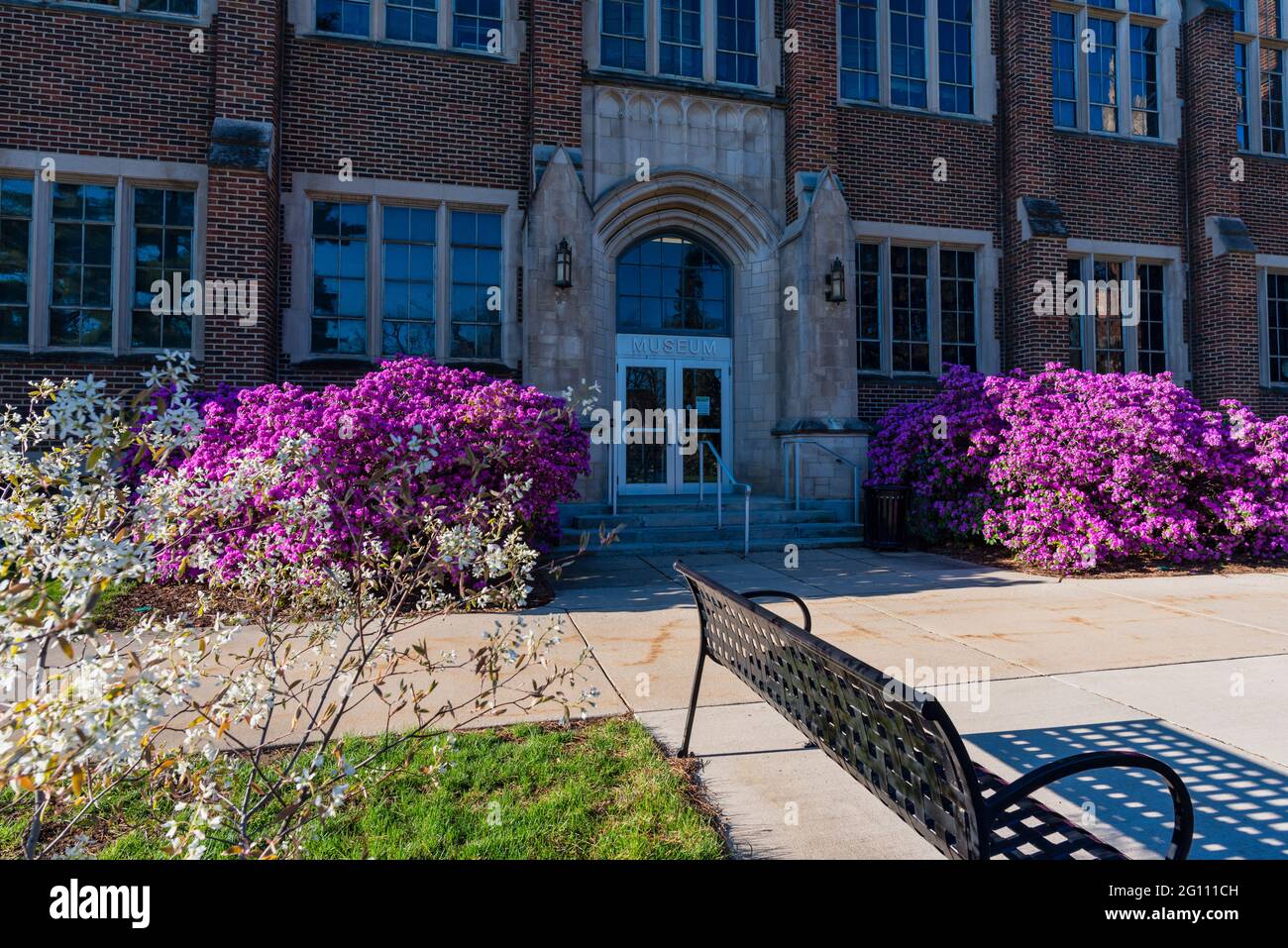 View of the Museum building entrance on the campus of MSU Stock Photo ...