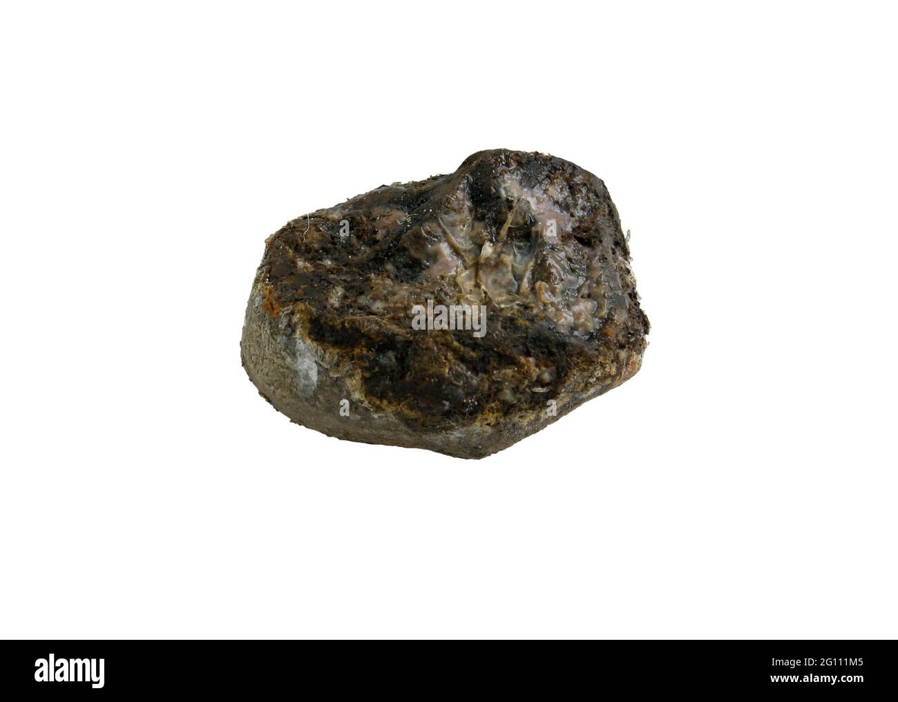 Potato diseases: Early blight . Isolated on white Stock Photo - Alamy