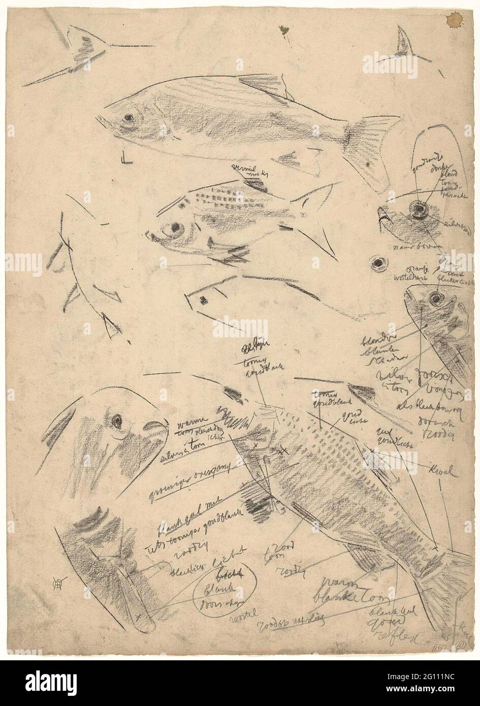 Extensive color palette hi-res stock photography and images - Alamy