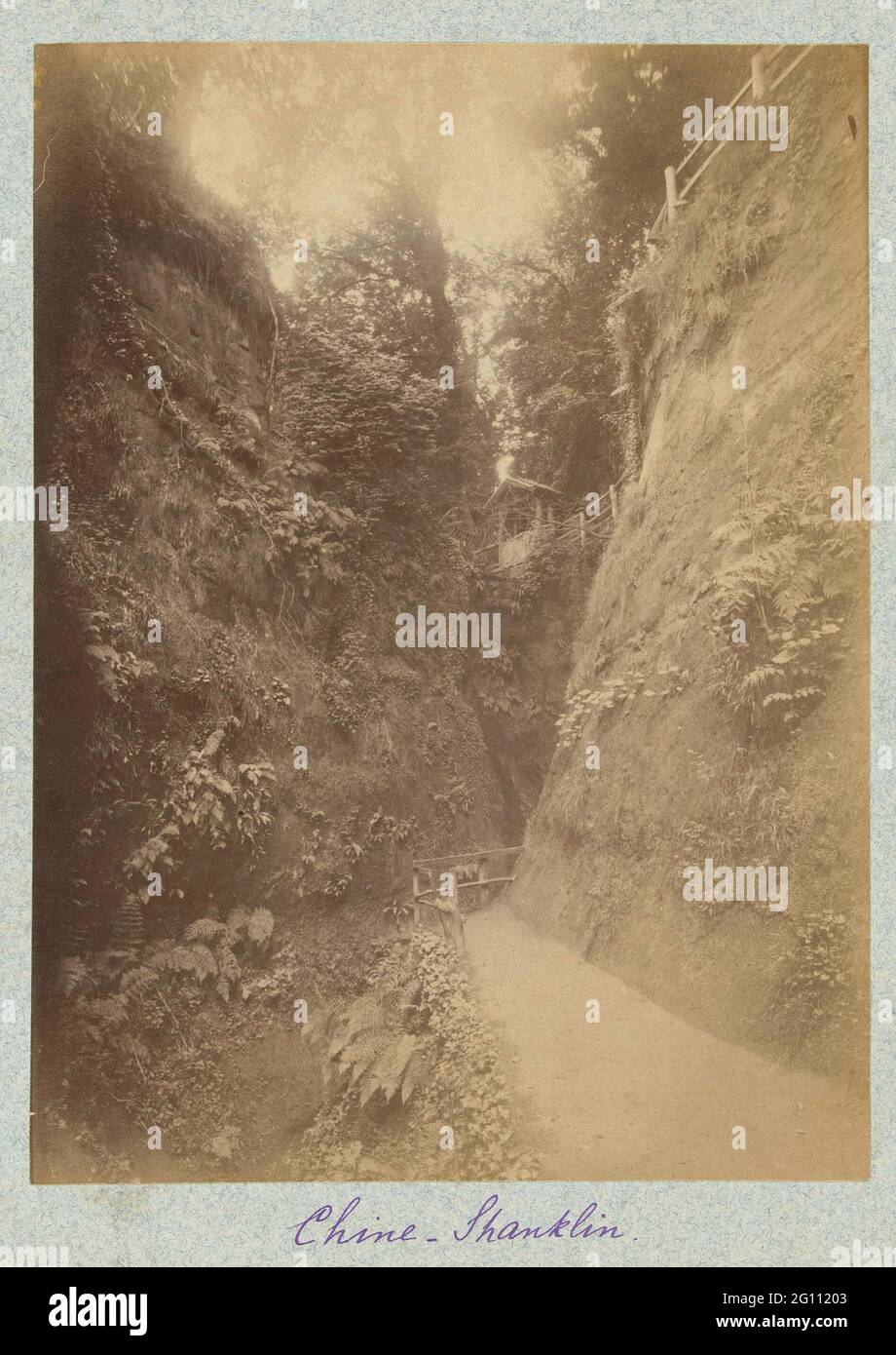 View in a gorge in Shanklin on Isle of Wight Stock Photo - Alamy