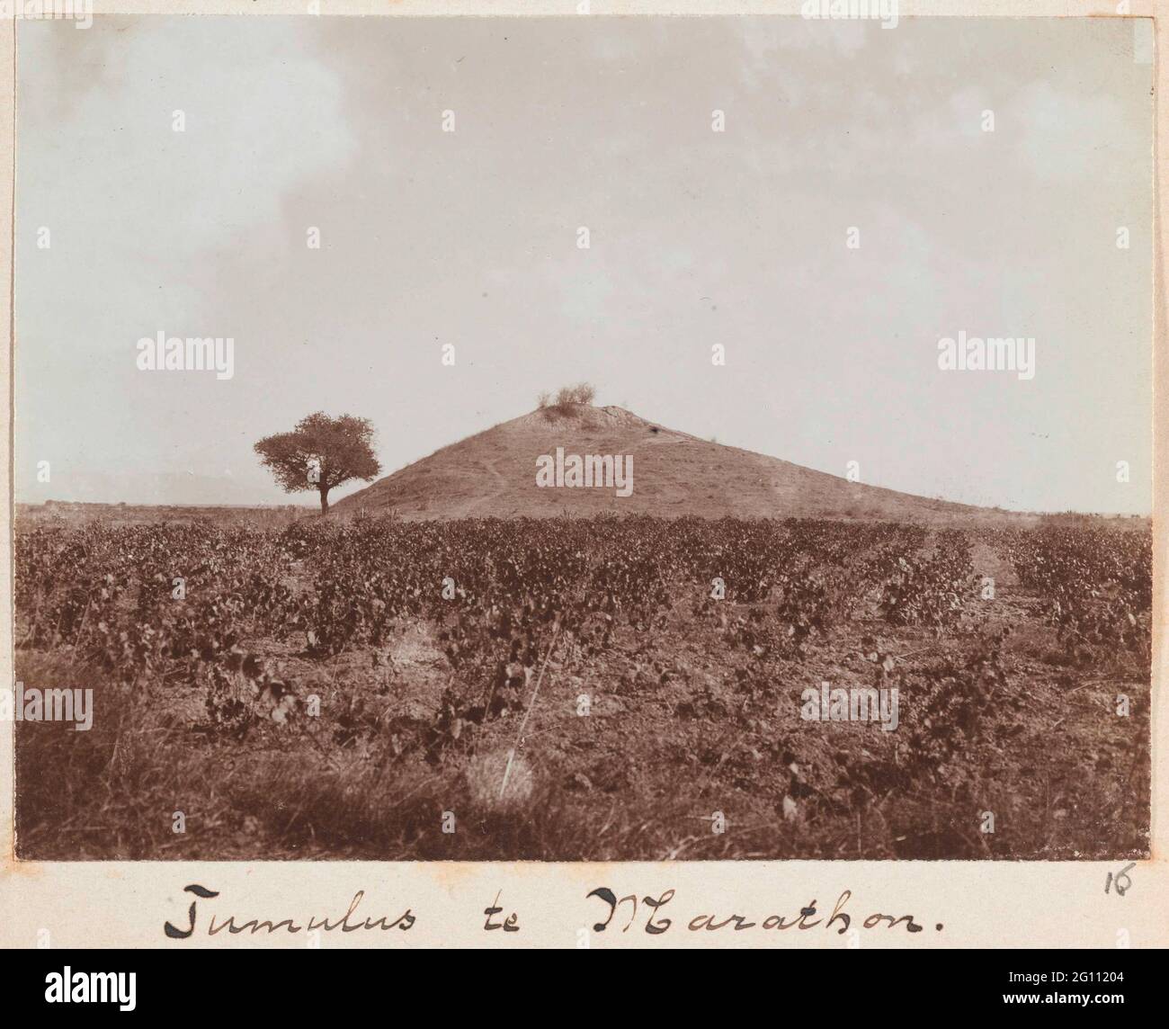 Greece tumulus of marathon hi-res stock photography and images - Alamy