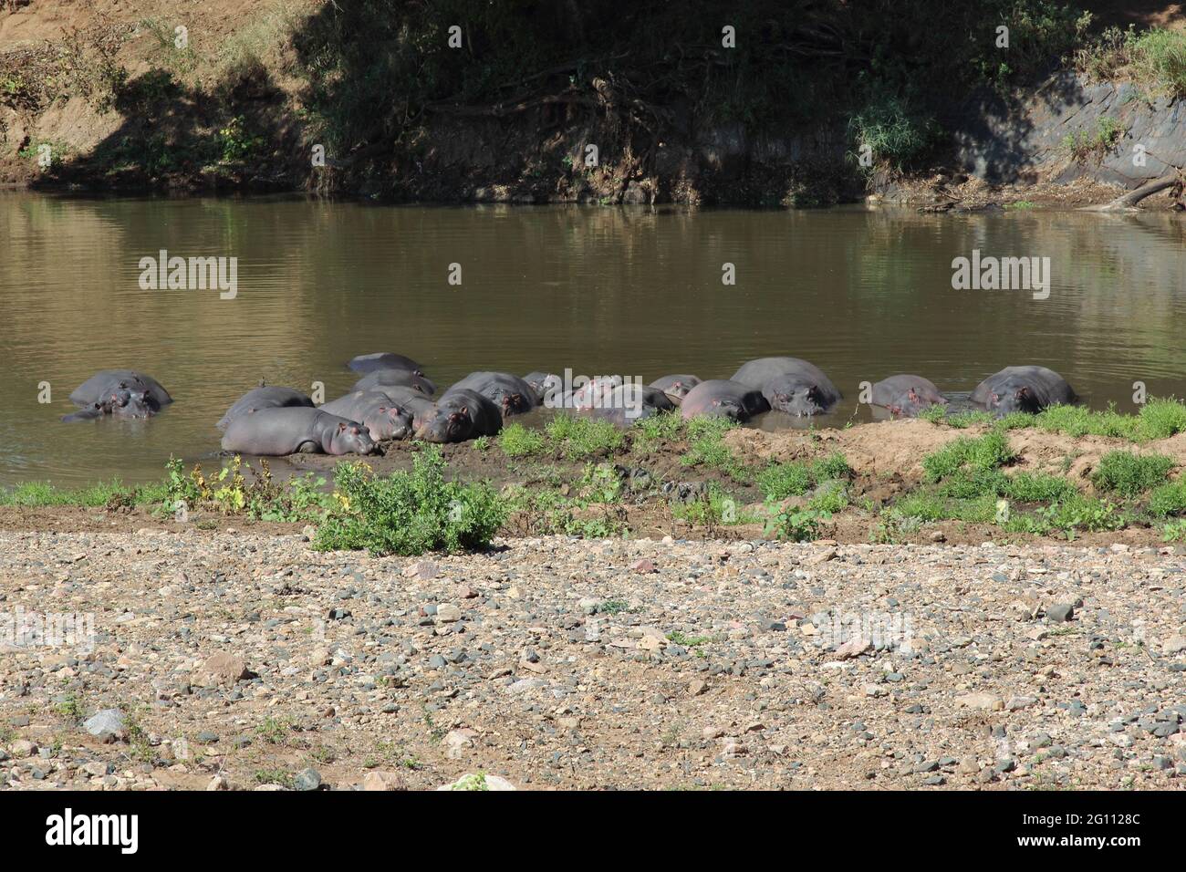 Mphongolo river hi-res stock photography and images - Alamy