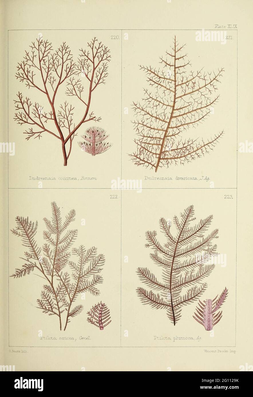 Professor Weed High Resolution Stock Photography and Images - Alamy