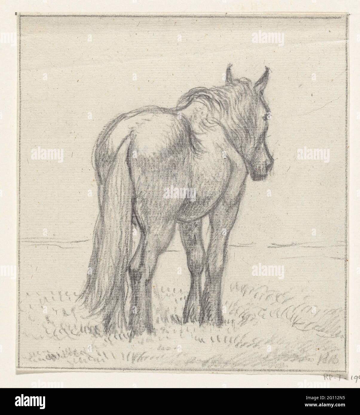 Standing horse, diagonally from behind Stock Photo - Alamy