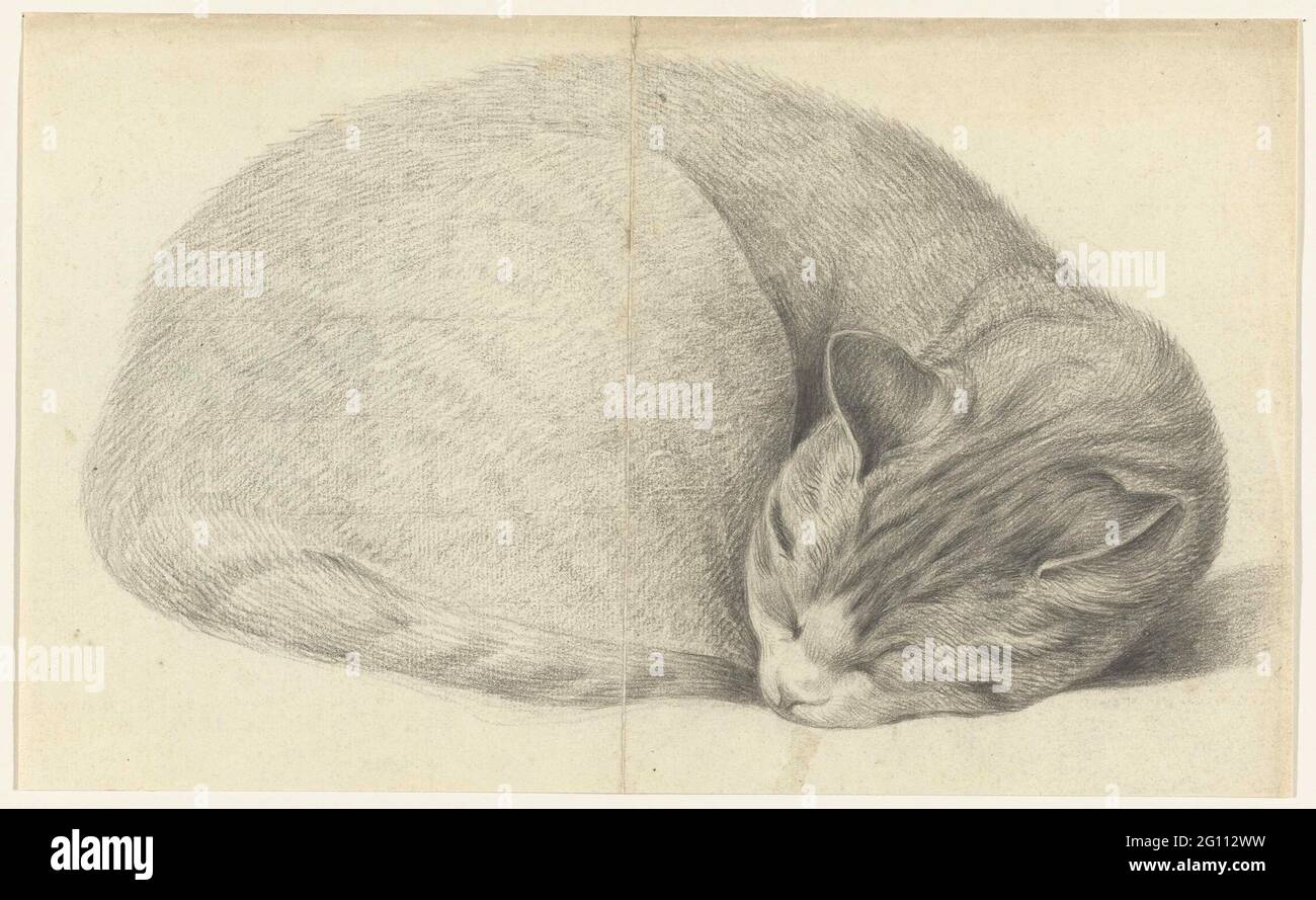 Rolled up, sleeping cat. Design for a print Stock Photo - Alamy