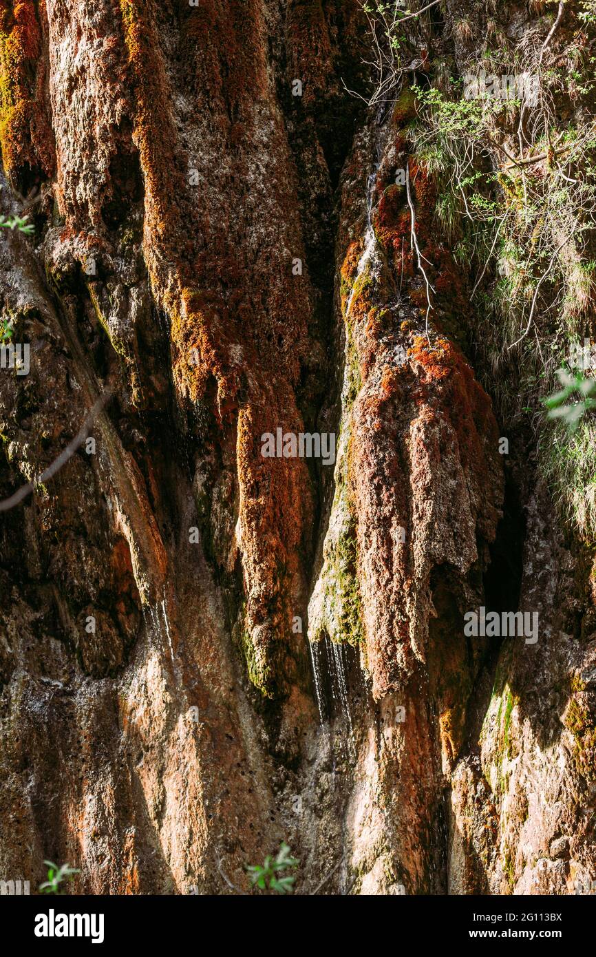 Overgrown rock formation hi-res stock photography and images - Alamy