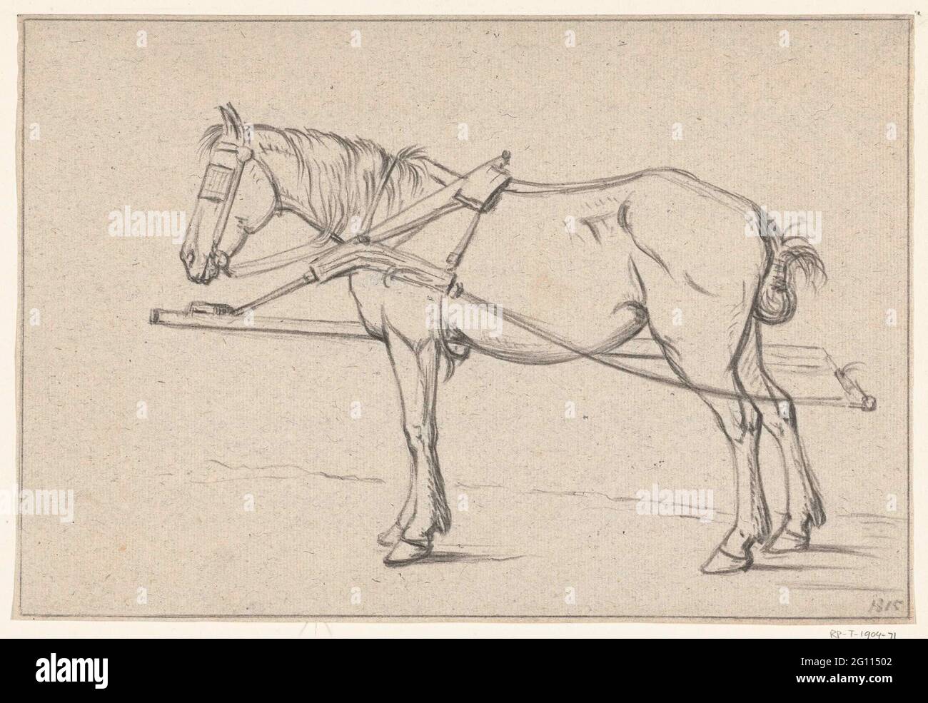 Standing inched horse, to the left Stock Photo - Alamy