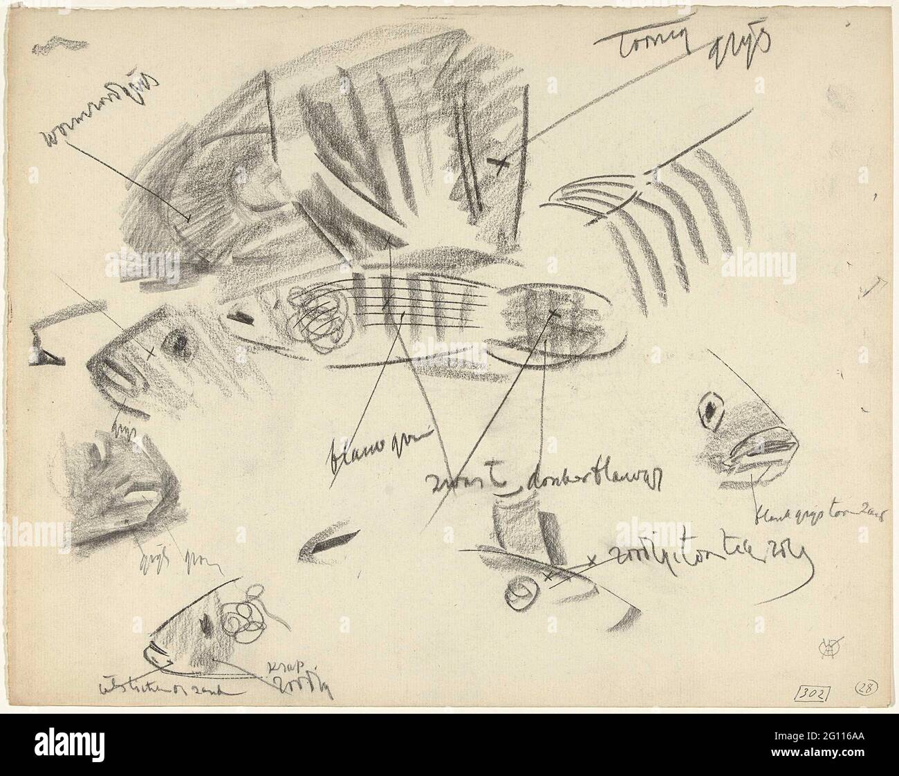 Detail studies of fish, with color notes Stock Photo - Alamy