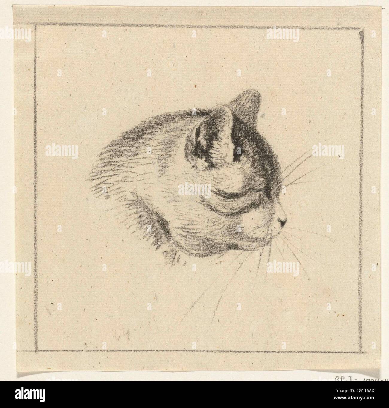 Cup of a cat, right Stock Photo - Alamy