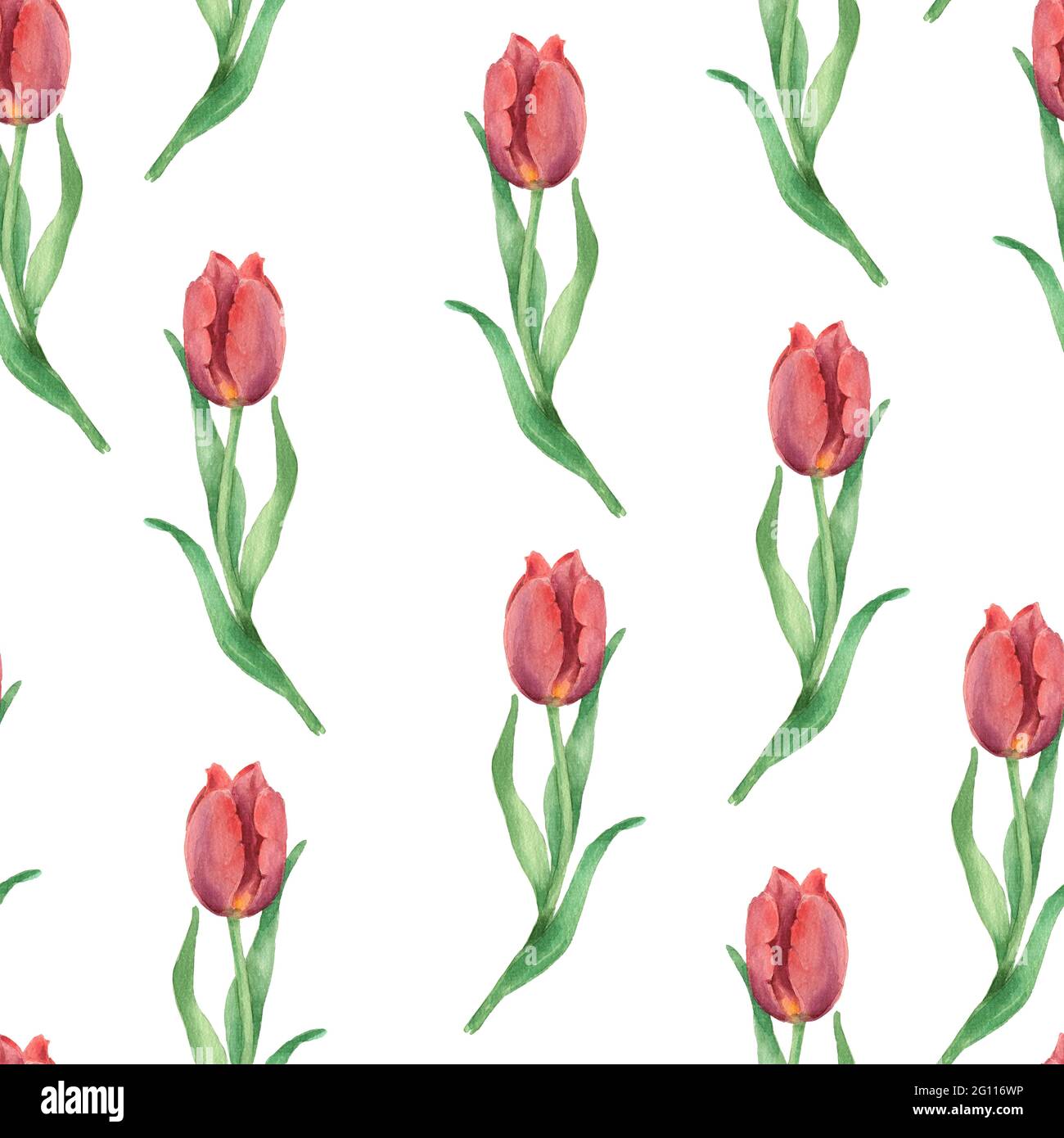 Seamless tulip pattern hi-res stock photography and images - Alamy
