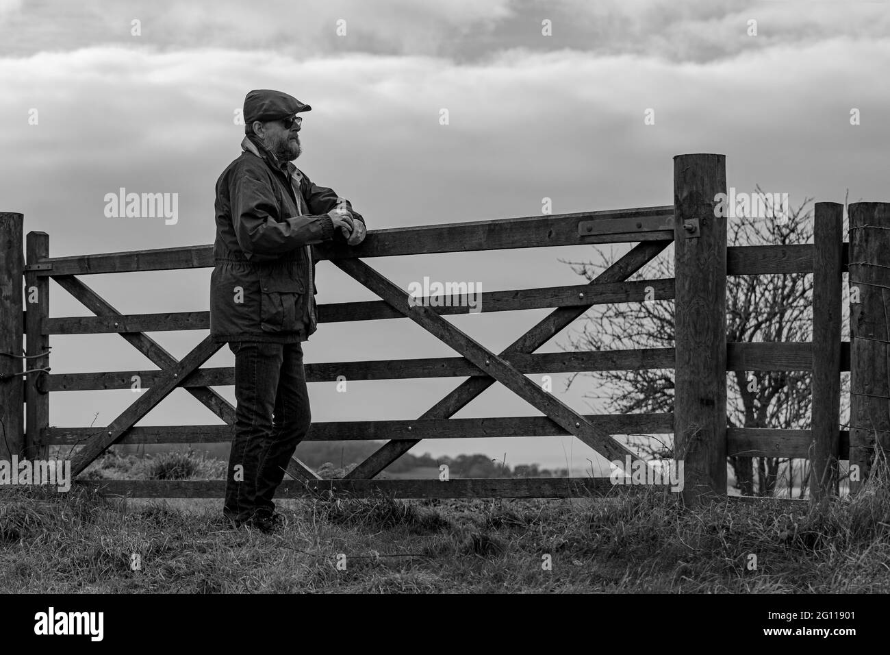 Aged male standing, staring by a 5 barred gate Stock Photo - Alamy