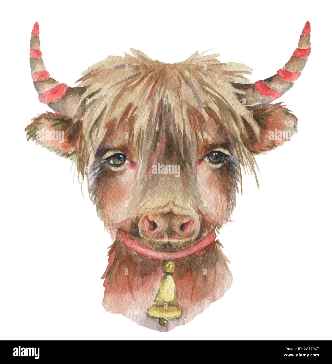 Bison bull head hand Cut Out Stock Images & Pictures - Alamy