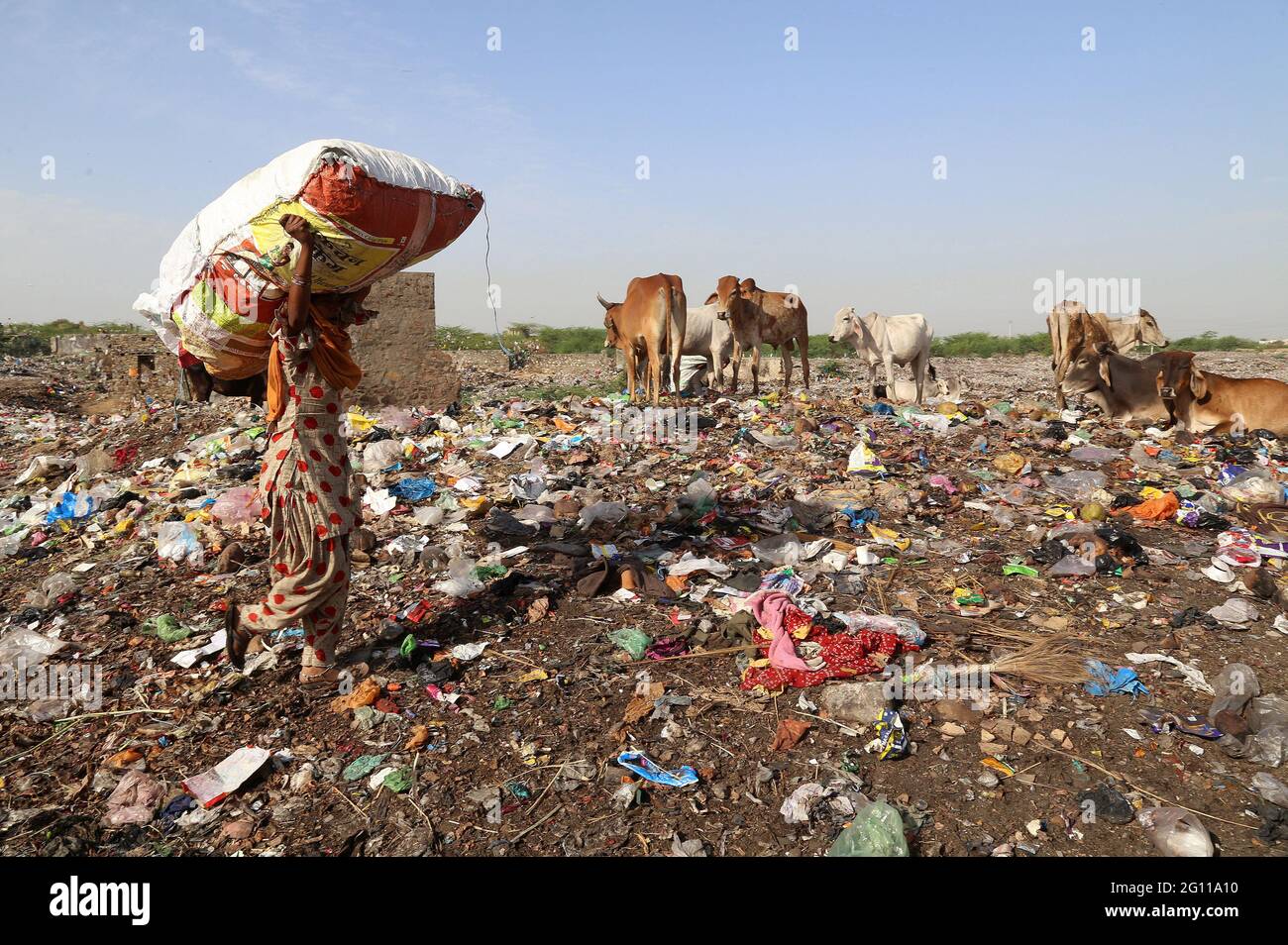 Beawar, India. 04th June, 2021. Beawar, Rajasthan, India, June 4, 2021 ...
