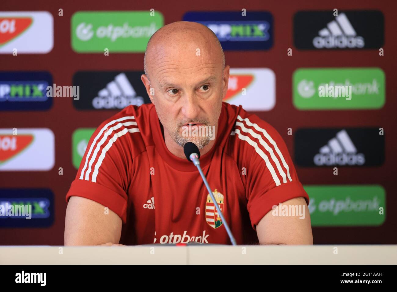 Hungarian team coach marco rossi hi-res stock photography and images ...