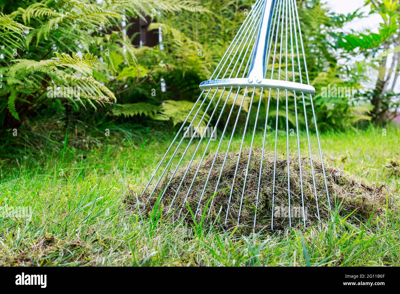 Lawn raking. Work in the garden. Autumn time Stock Photo - Alamy