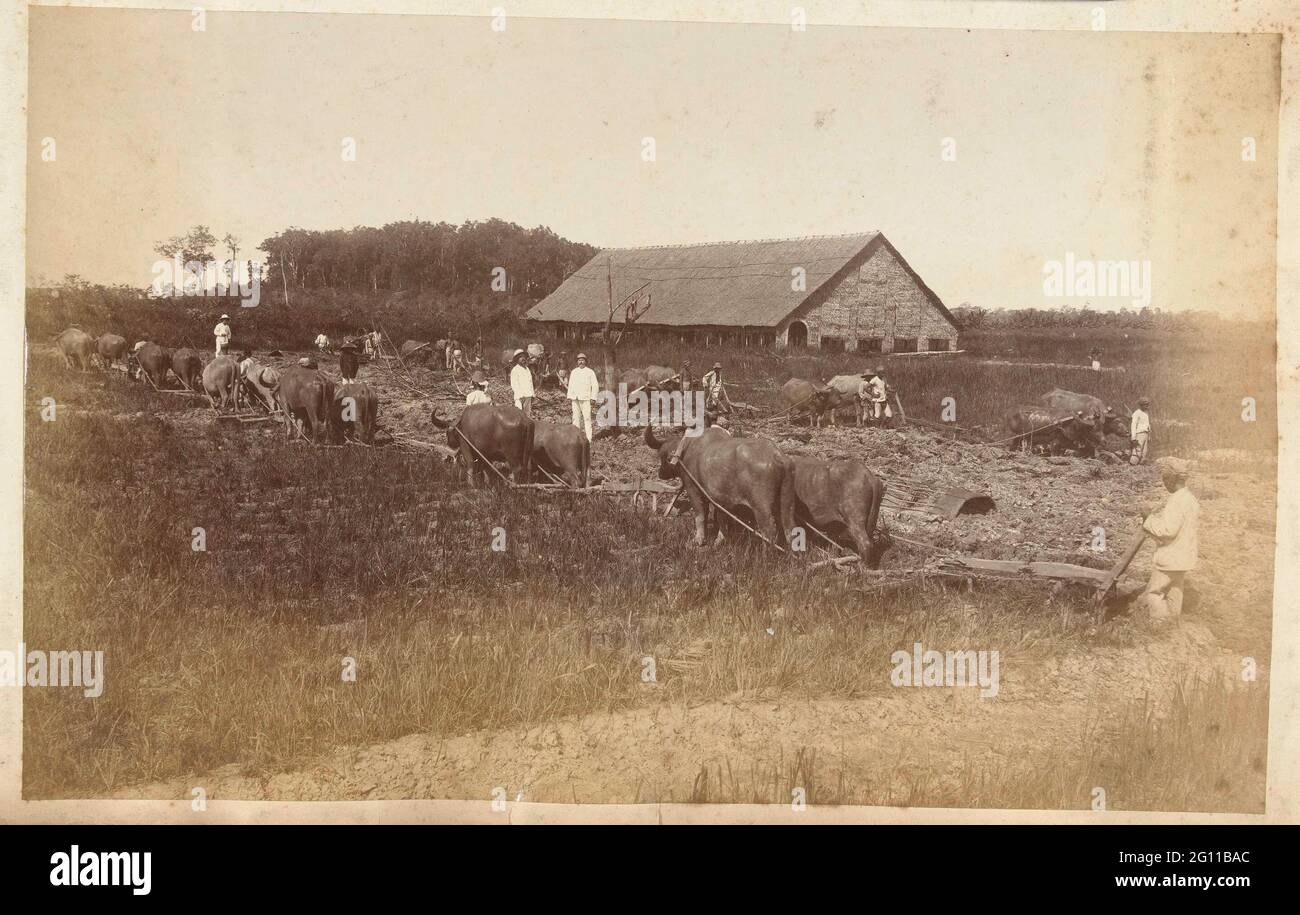 System macdonald hi-res stock photography and images - Alamy