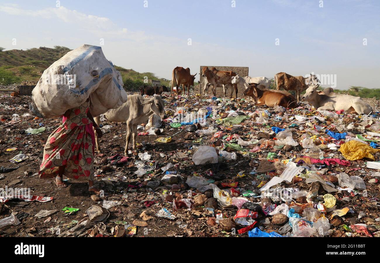 Solid waste management india hi-res stock photography and images - Alamy