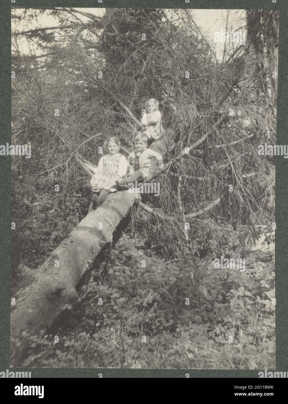 Three small children on a fallen tree Stock Photo - Alamy