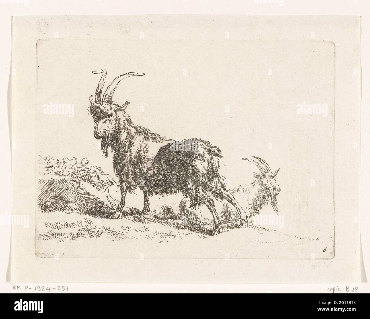Standing and lying goat or buck; Goats and sheep to N.P. Berchem Stock ...