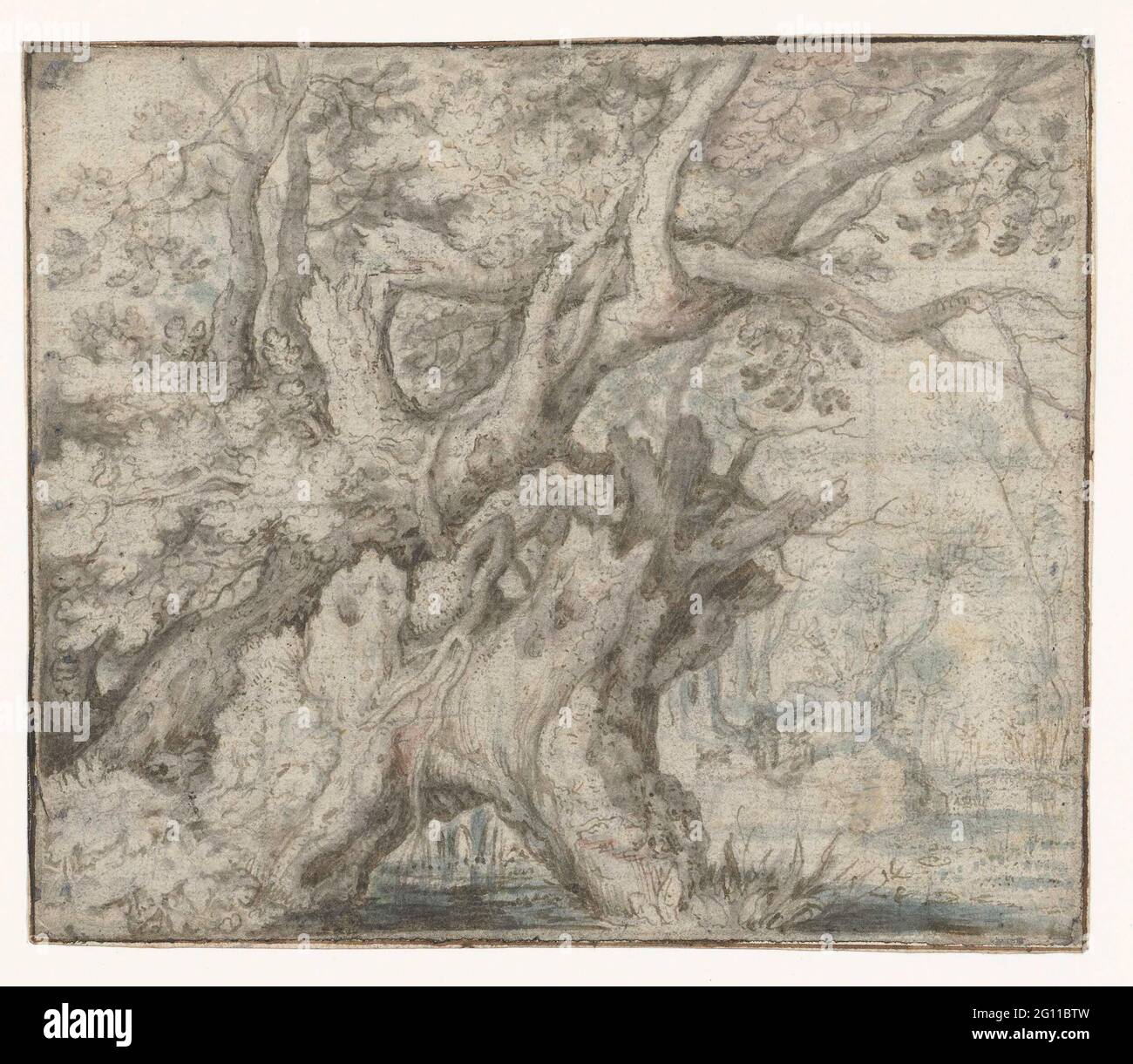 Gnarled Trees near the Water. In this drawing Savery renders oddities ...