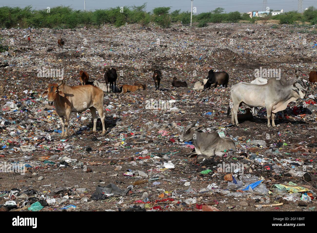 Solid waste management india hi-res stock photography and images - Alamy