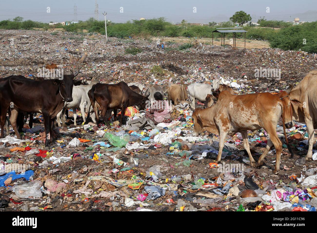 Solid waste management india hi-res stock photography and images - Alamy
