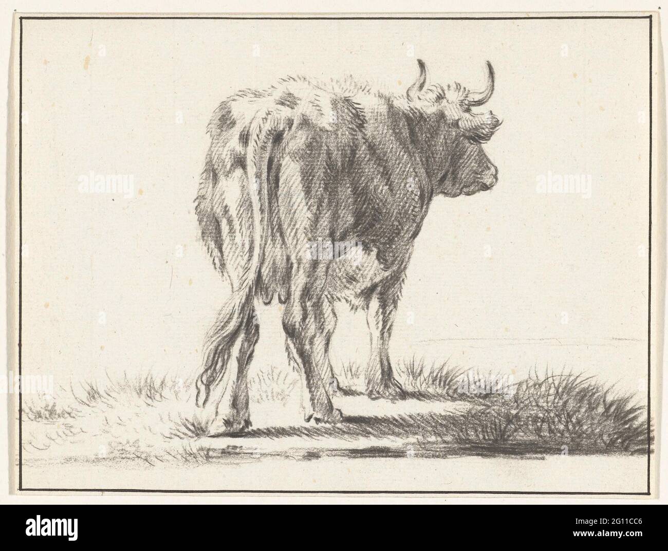 Standing cow, from behind Stock Photo - Alamy