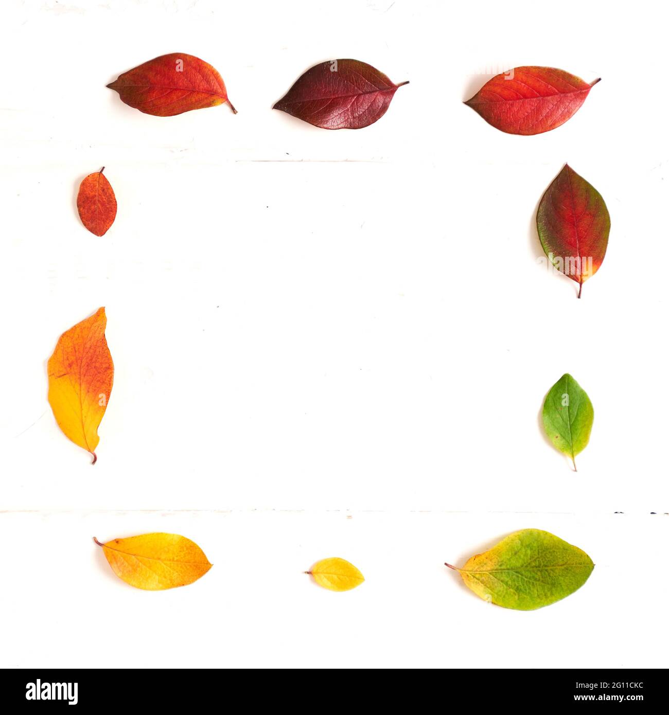 Clean design layout Cut Out Stock Images & Pictures - Alamy