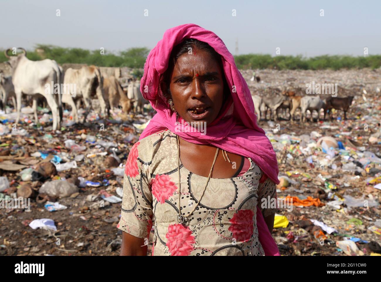 Beawar, India. 04th June, 2021. Beawar, Rajasthan, India, June 4, 2021 ...