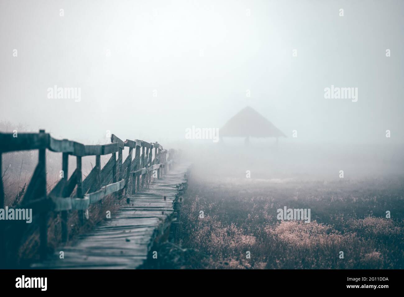 Small narrow path through reed at a lake Stock Photo - Alamy