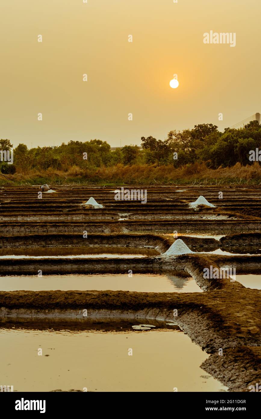 Salt Pans Goa India High Resolution Stock Photography and Images - Alamy