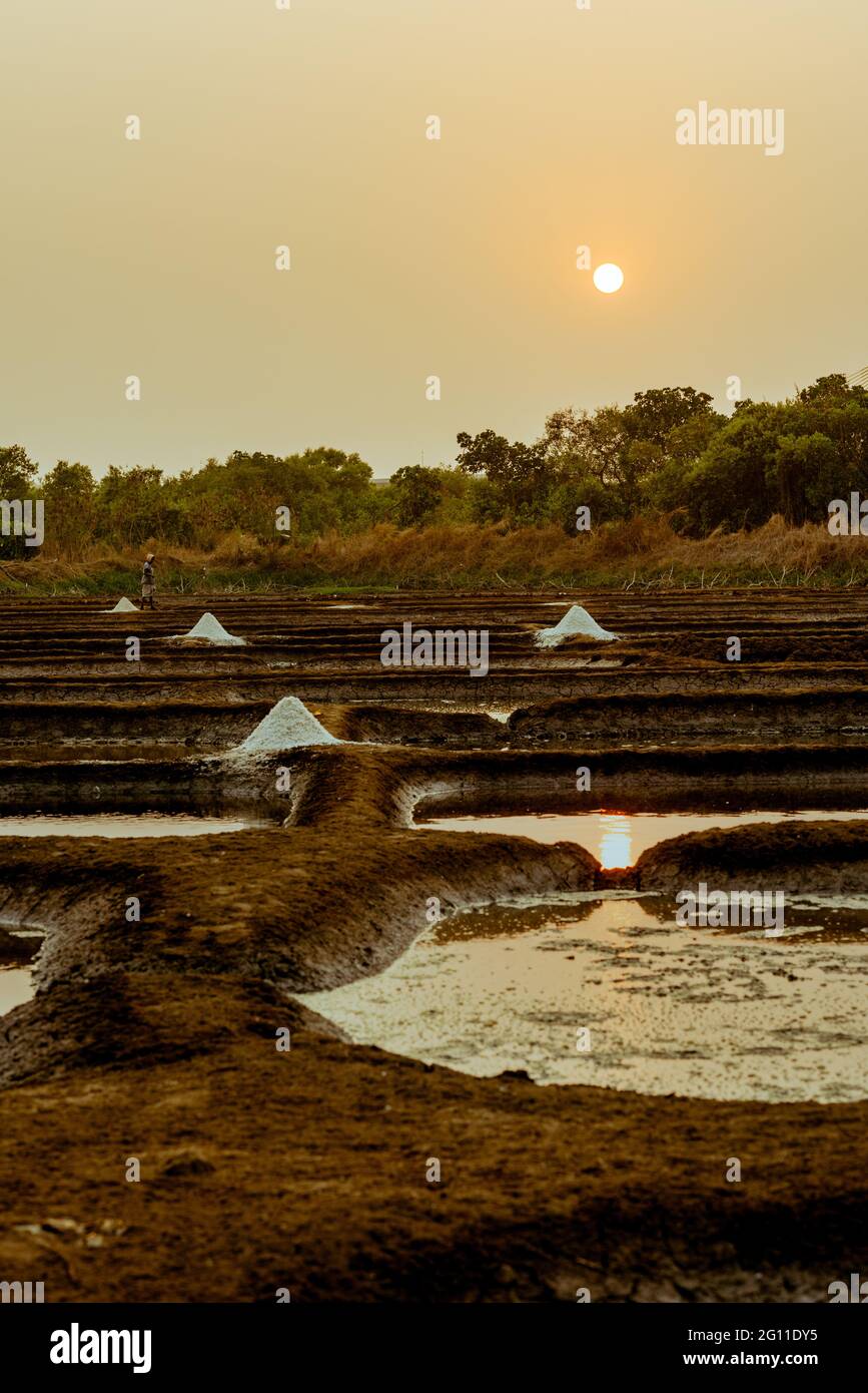 Indian salt evaporation pond hi-res stock photography and images - Alamy