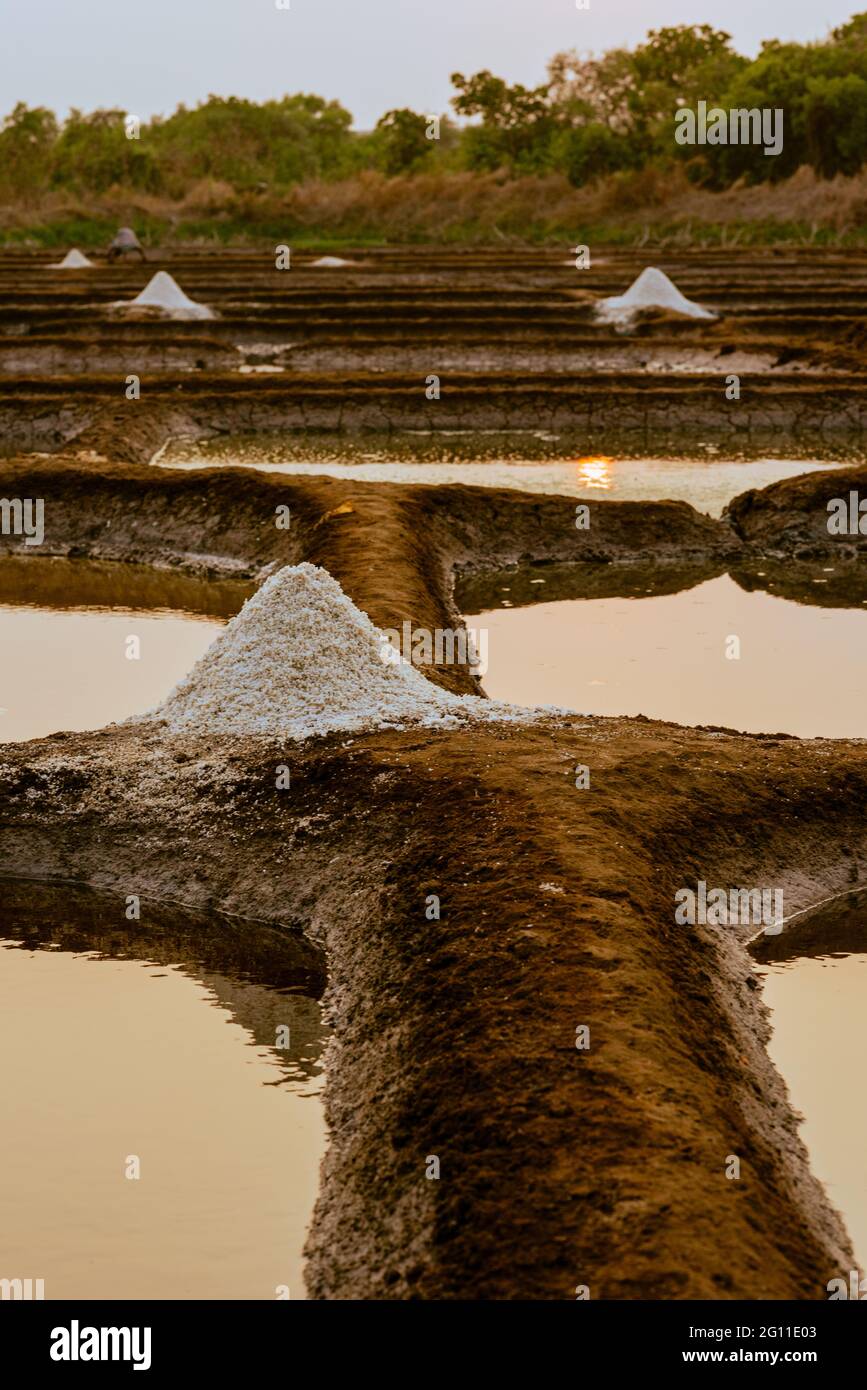 Sea salt pans goa hi-res stock photography and images - Alamy