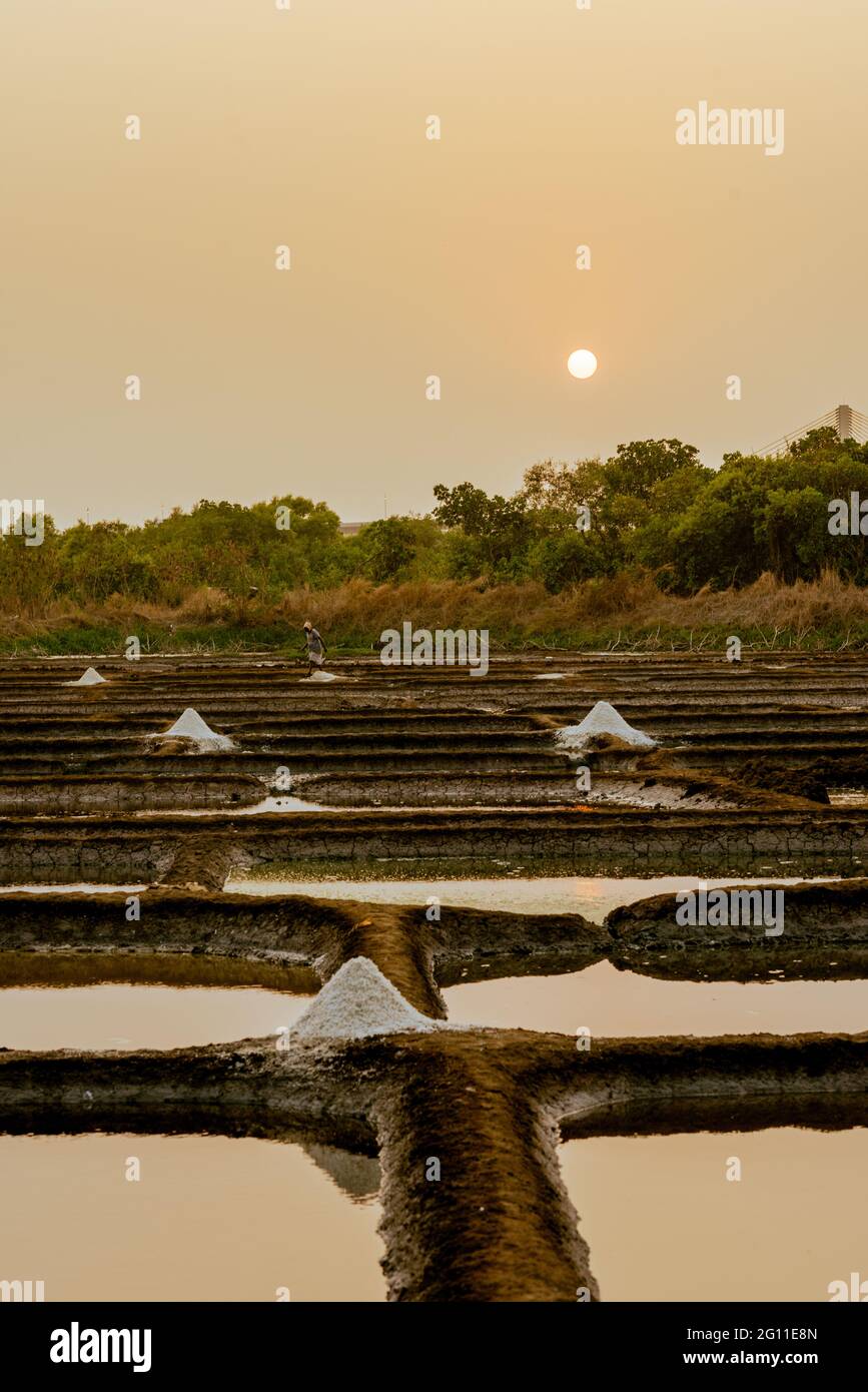 Salt pans goa india hi-res stock photography and images - Alamy