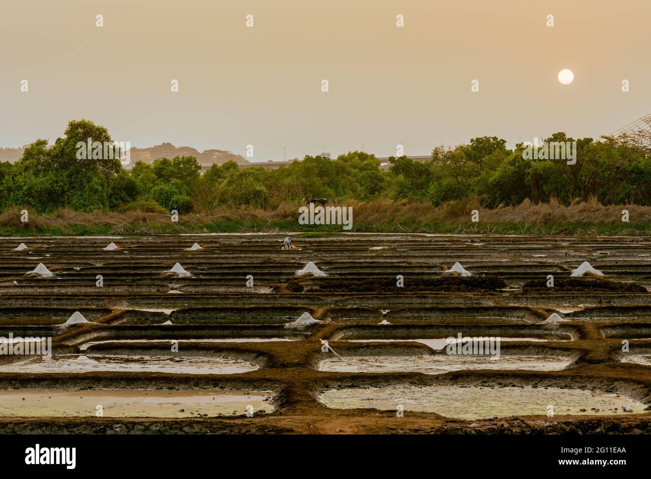 Salt Pans Goa India High Resolution Stock Photography and Images - Alamy