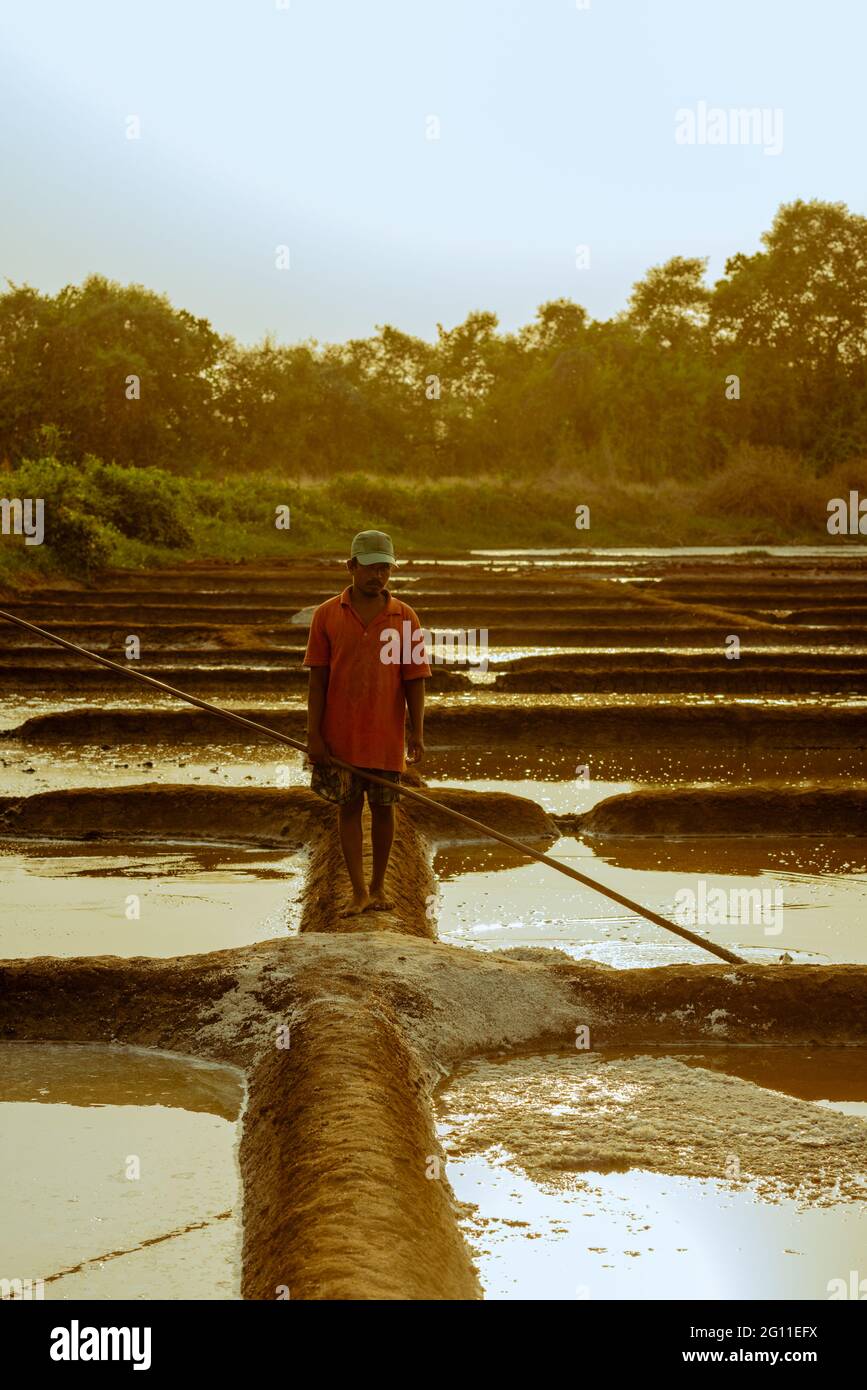 Salt pans goa india hi-res stock photography and images - Alamy