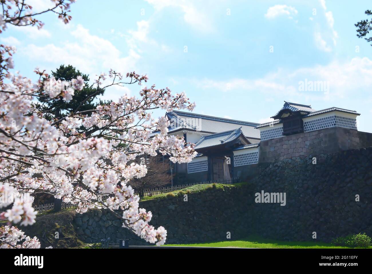 Hanami japan hi-res stock photography and images - Alamy