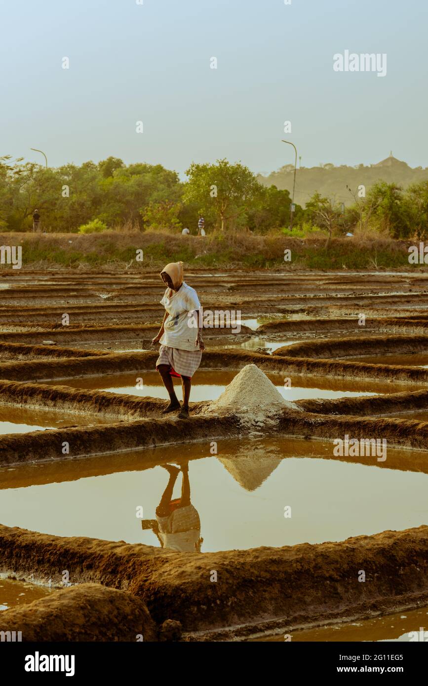 Indian salt evaporation pond hi-res stock photography and images - Alamy