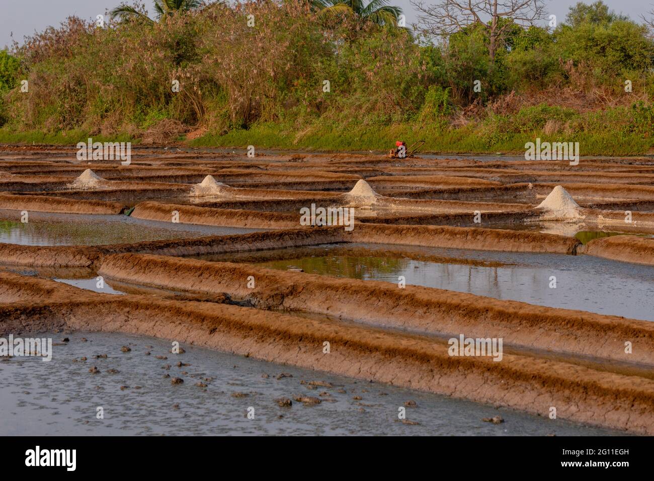 Salt pans goa india hi-res stock photography and images - Alamy