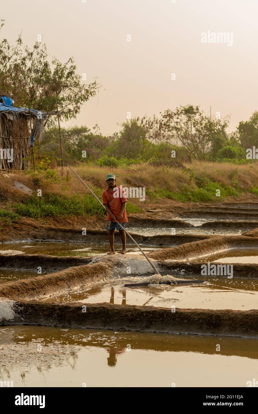 Salt pans goa india hi-res stock photography and images - Alamy